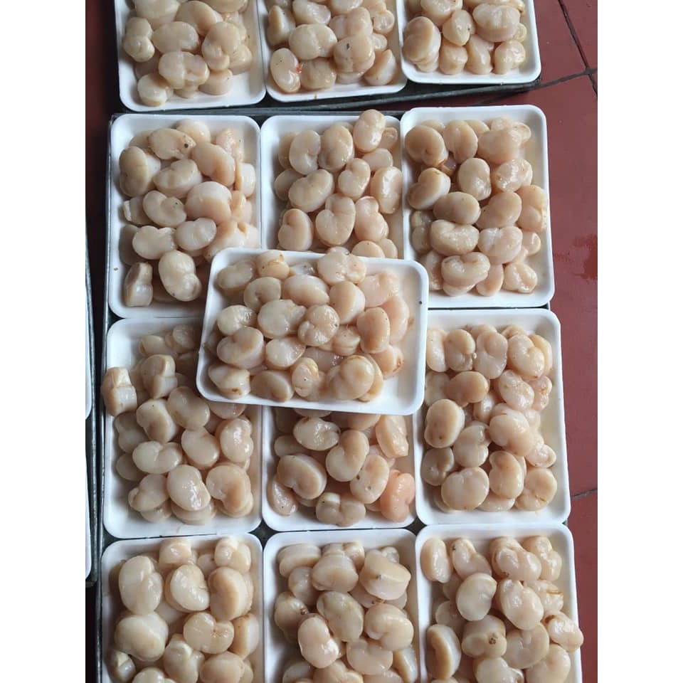 Van Don Pearl (Aver, 500gr / pack) | Shopee Malaysia