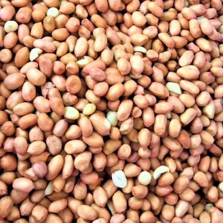 500G KACANG TANAH INDIA / INDIAN RAW GROUNDNUT | Shopee Malaysia