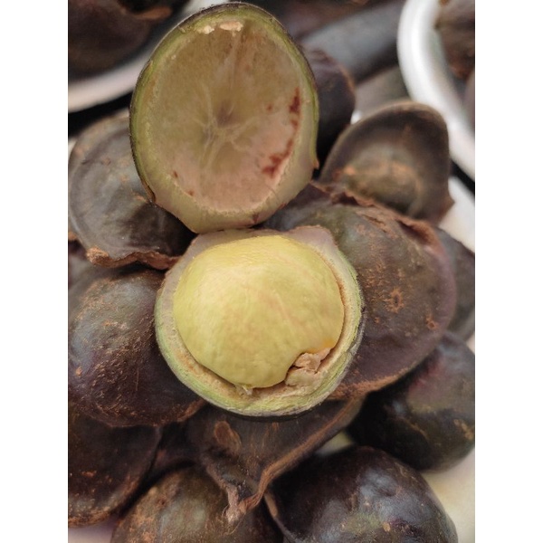 Buah jering muda (jengkol) | Shopee Malaysia