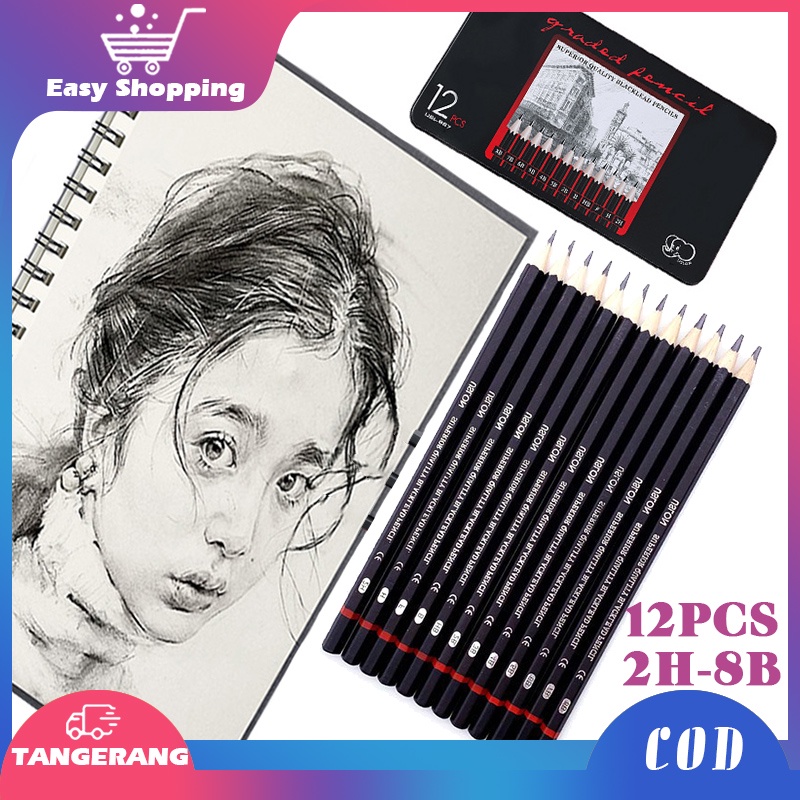 12pcs Sketch Drawing Pencil Set Sketching Pencil Set Sketch Drawing ...
