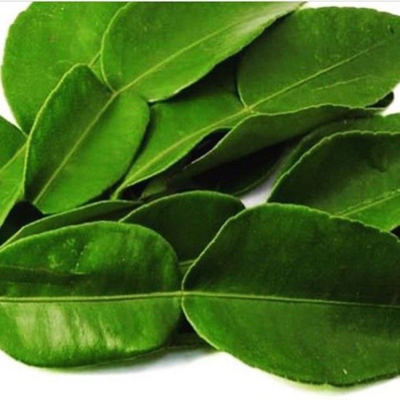 DAUN LIMAU PURUT FRESH🔥 | Shopee Malaysia
