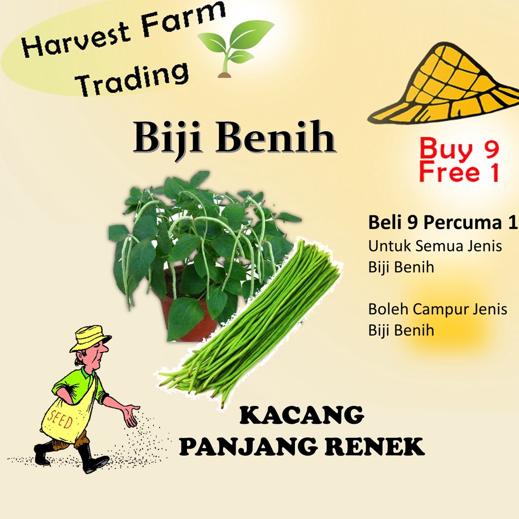 Kacang panjang renek 20pcs Vegetable Seeds BIJI BENIH SAYUR sayuran ...