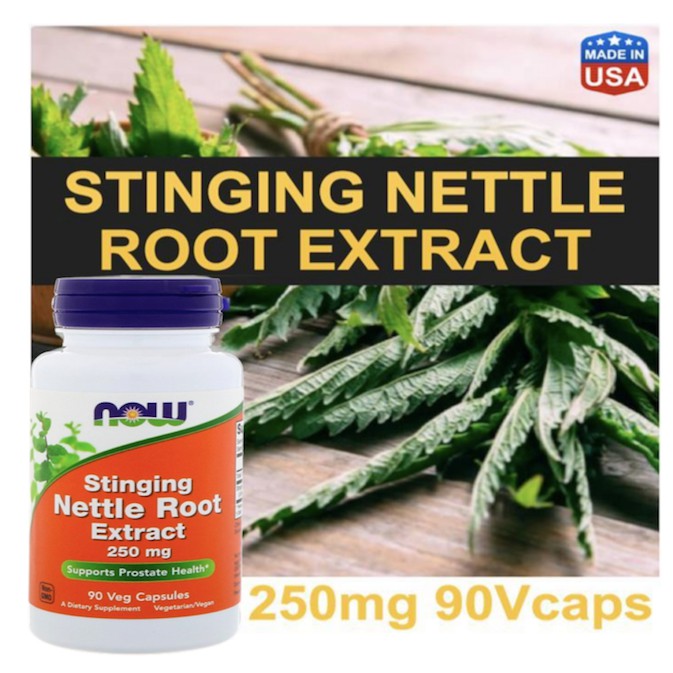 NOW Foods, Stinging Nettle Root Extract 250mg, 90Vcap, Prostate, Urine ...