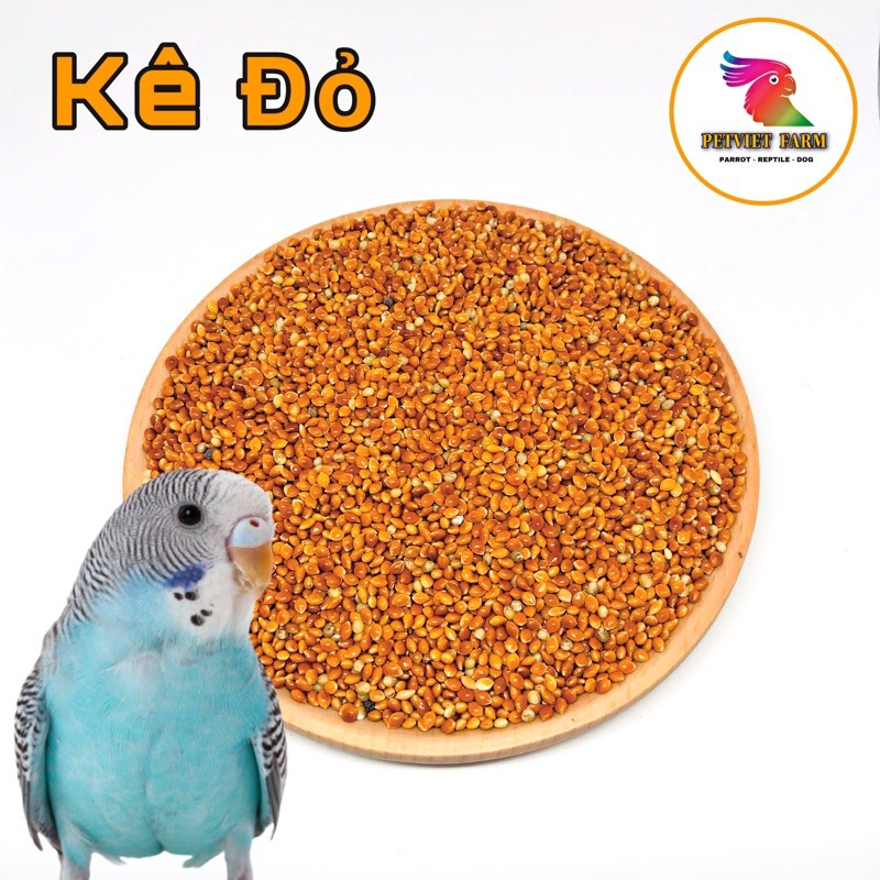 Glossy RED MILLET - 500G PACKAGE | Shopee Malaysia