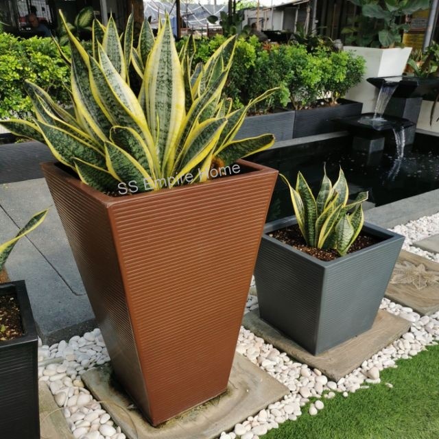 RICO Z1 Line ALL Fiberglass Flower Pot Pasu Bunga Garden Taman Plant ...