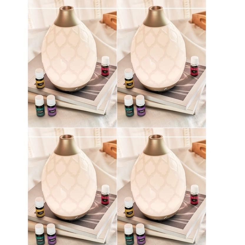 *FREE SHIPPING* 💯Original YL Desert Mist Diffuser (1 Yr Warranty ...