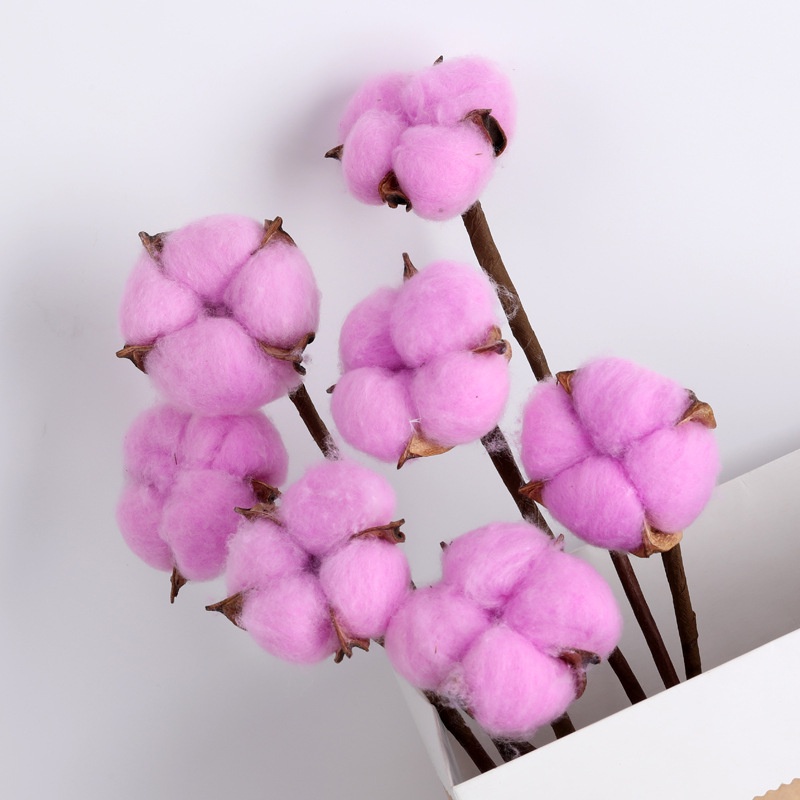 Dry Cotton Flower Bunga Kapas Kering decorative flower dried flower ...