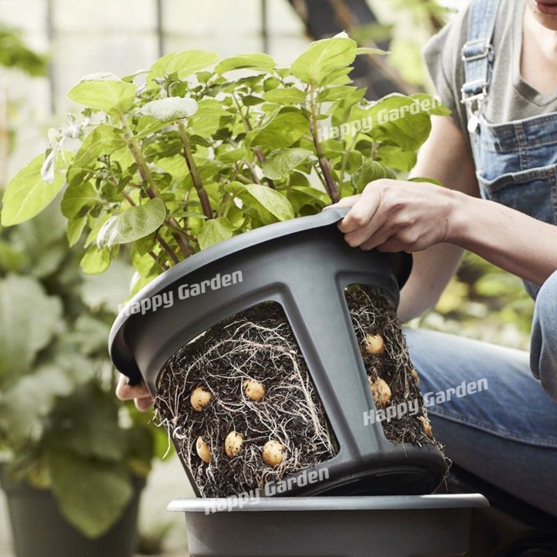 2in1 Double Layer Potato Planting Pot Potato Planting Bucket Plant ...