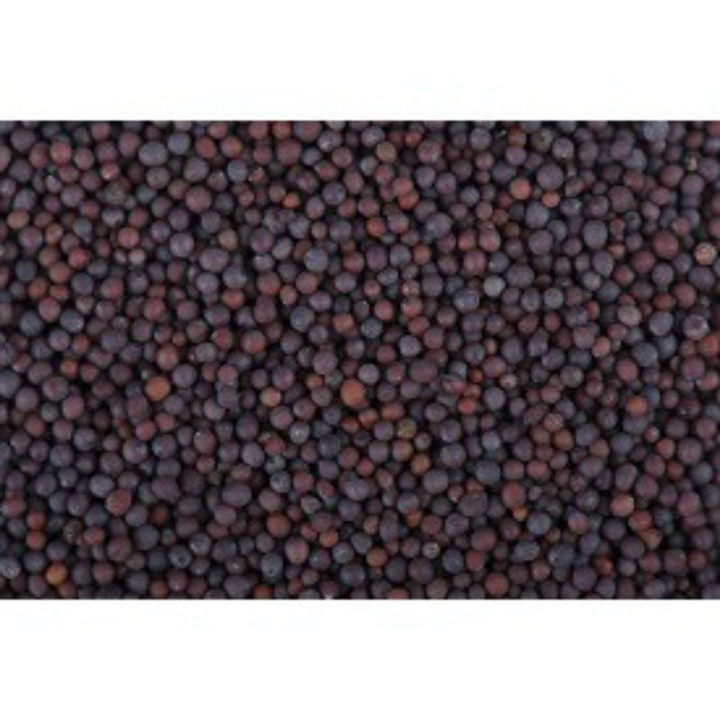 [Biji Sawi] Mustard Seed 1 kg | Shopee Malaysia