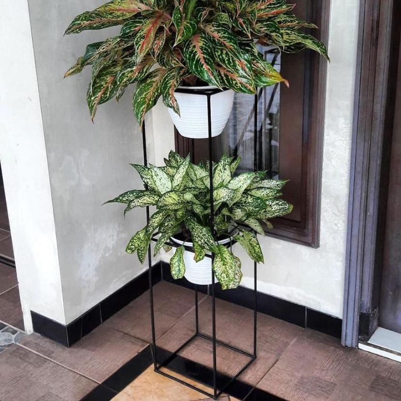 Standing POT BOX STACKING 2 T 80CM | Shopee Malaysia