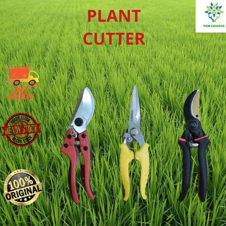 Plant Cutter / Hand Pruner / Gardening Hand Pruner Scissors Gunting ...
