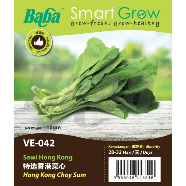 Baba VE-042 Benih Sawi Hong Kong / Sayur / Smart Grow Hong Kong Choy ...