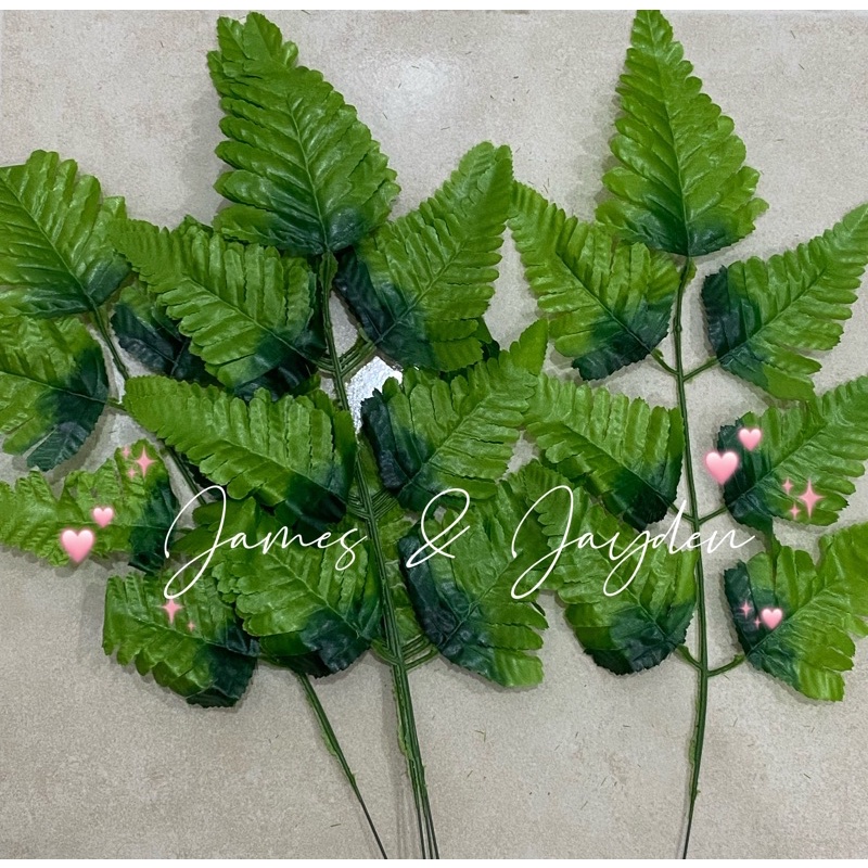 Daun / Daun Paku Pakis / Daun Hiasan / Daun Palsu / Paku Pakis | Shopee ...
