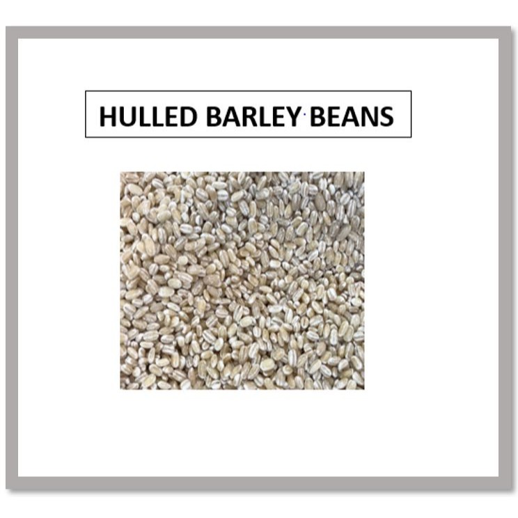 Hulled barley seeds/大麦豆/biji barli 100g/250g/500g | Shopee Malaysia