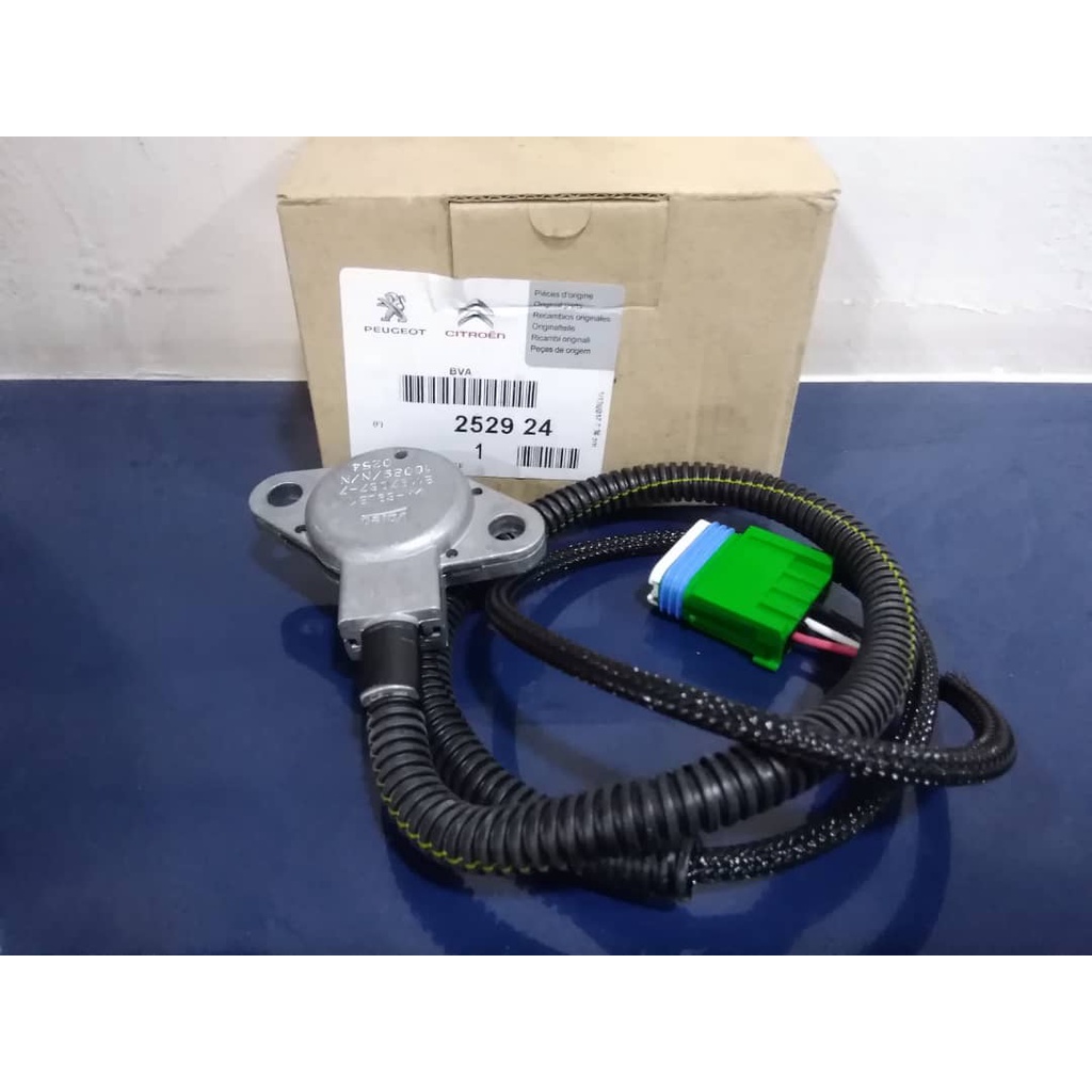 Peugeot 206 207 208 307 406 D9 407 408 2.0 807 Citroen Xsara Picasso C3 ...