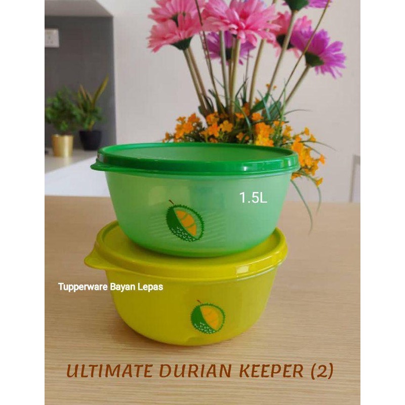 New Product!! Tupperware Ultimate Durian Keeper Bekas simpan makanan ...