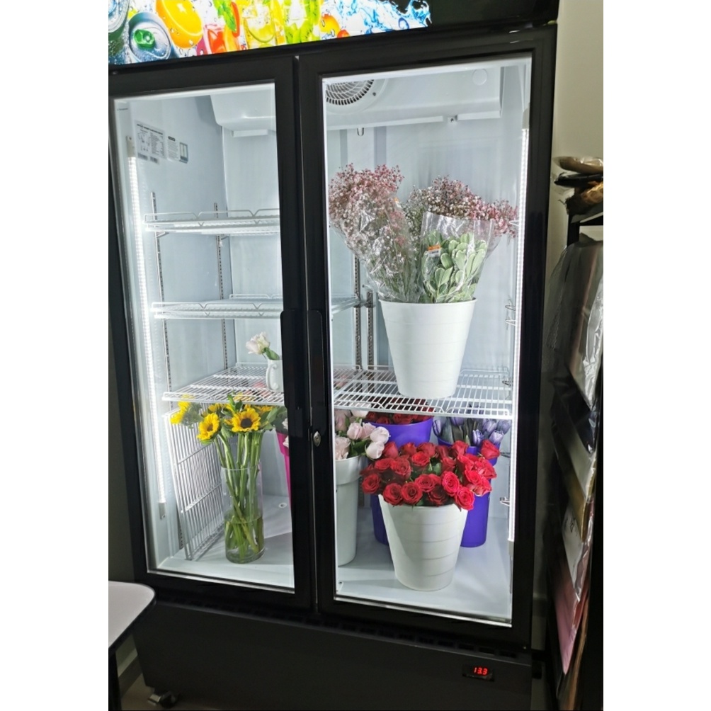 Solid Cool Plus 2 Door Chiller/Peti Sejuk 2 Pintu Model: 2DBB | Shopee ...