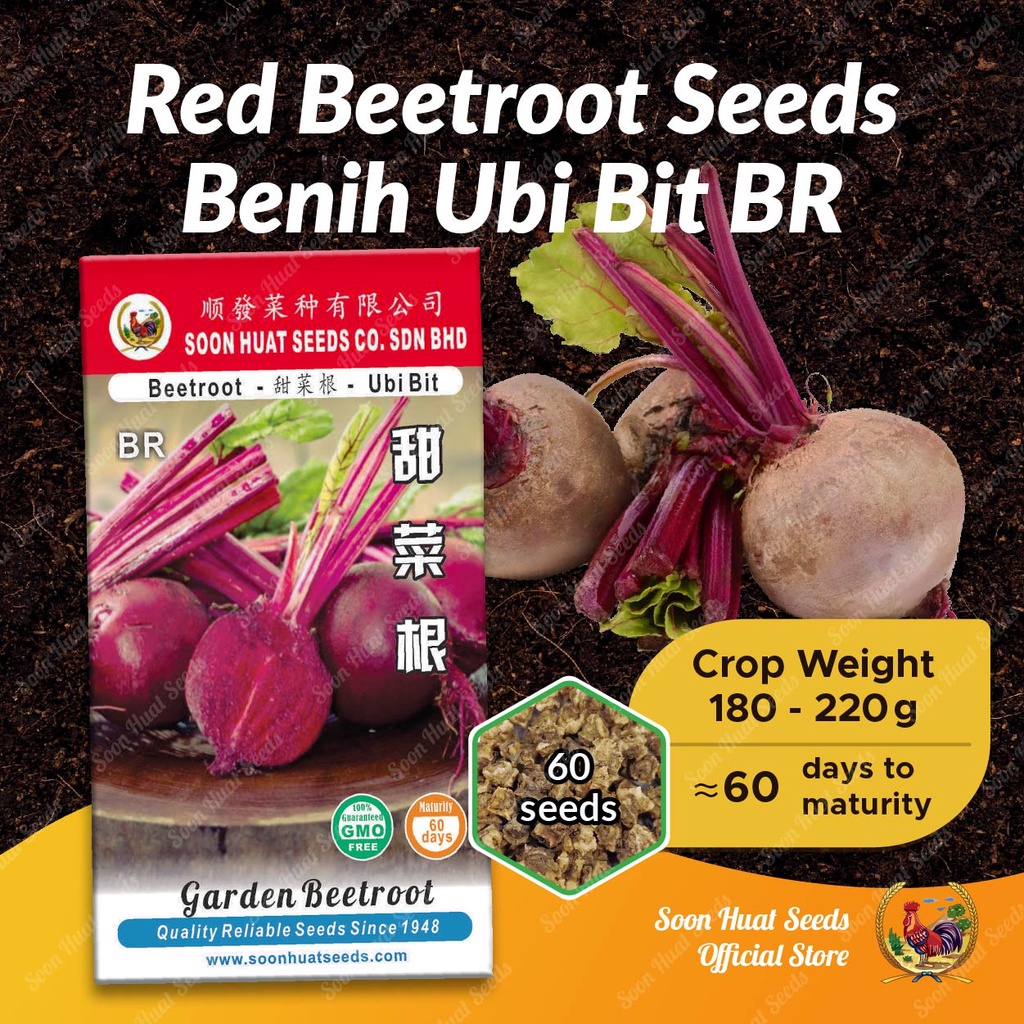 [Small Pack] BR Benih Ubi Bit Merah Red Beetroot Soon Huat Seeds ...
