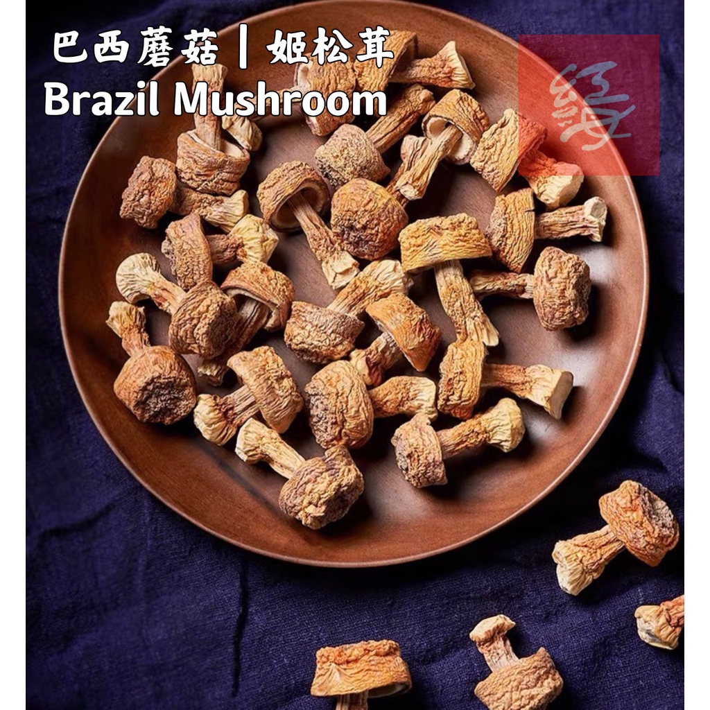 Red Sea 巴西蘑菇 | 姬松茸 Brazil Mushroom | Agaricus Blazei【100g/300g/500g ...