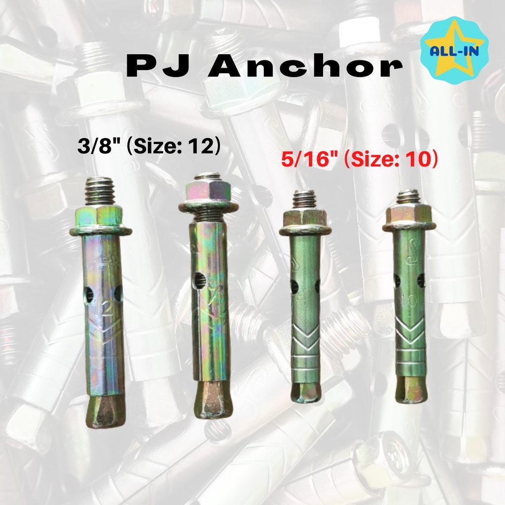 PJ Anchor 5/16" & 3/8" / Wall Plug 10 & 12 (Price per piece) | Shopee ...