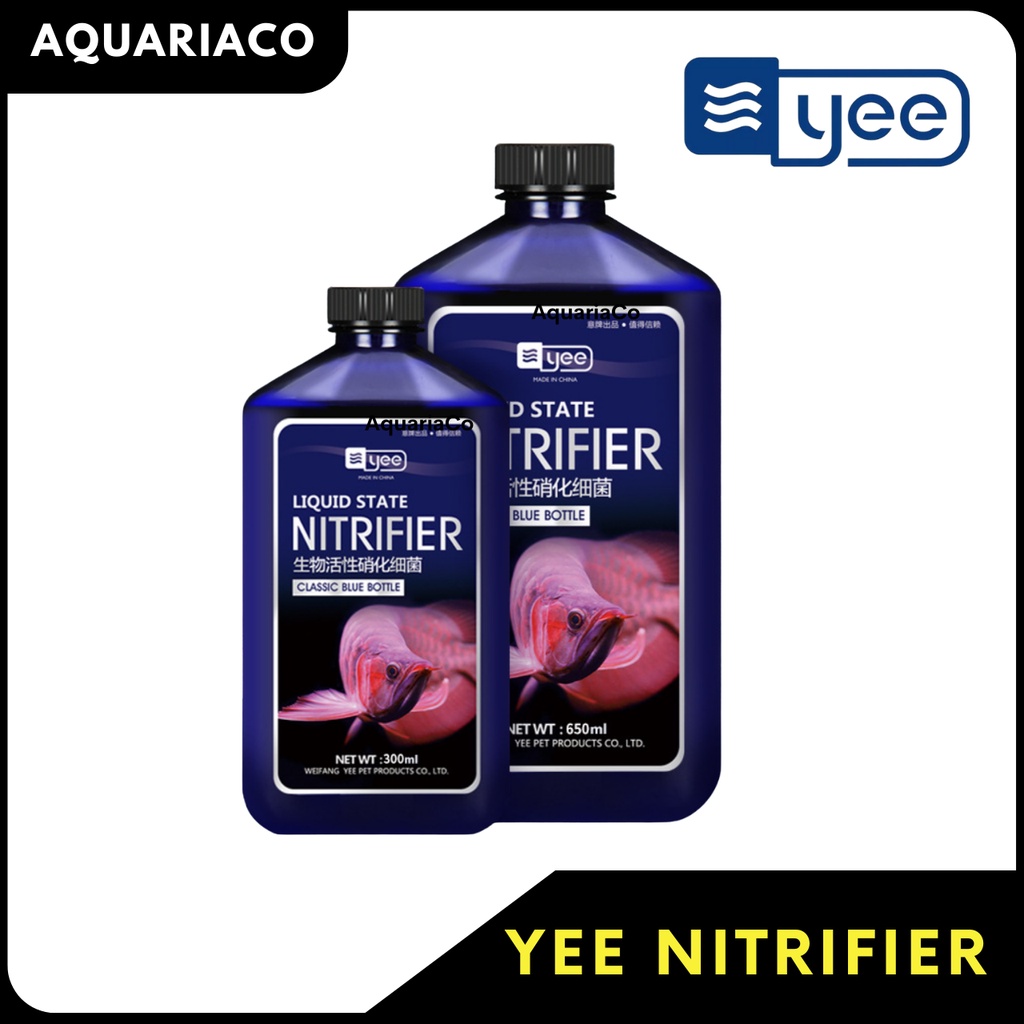 [AquariaCo] Nitrifying Bacteria (硝化菌, Nitrifier, Clear Water Aquarium ...