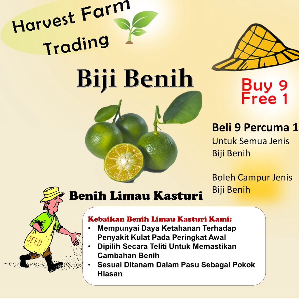 benih limau kasturi 5pcs / calamansi lime seeds vegetable seed Limau kesturi benih buah limau ...