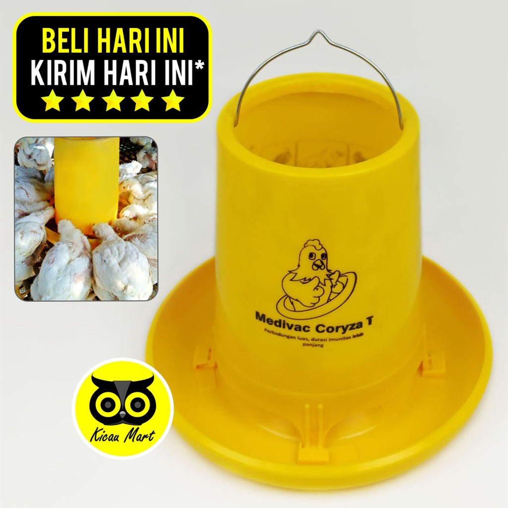Place To Eat Chicken/Ration/TRA1K MEDION Capacity 1KG Feed Container ...