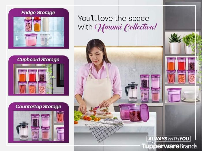 Tupperware Ezy Store 840ml With Spoon (Salt Spice Container) shelf saver / Tupperware Umami ...