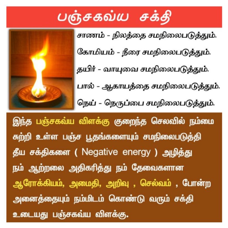 PANJAKAVYA DEEPAM WITH GHEE (12PCS) | Shopee Malaysia