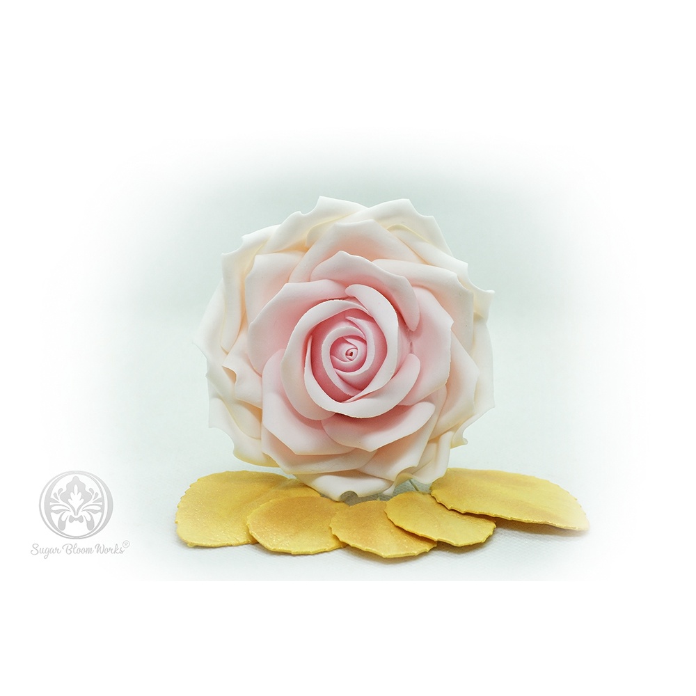 A Gumpaste Flower Rose (XL) READY STOCK Cake Topper / Bunga Kek ...