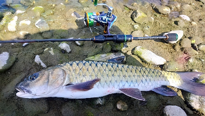 【Artemis X】New design X-cross UL Rod 1.5M/1.68M/1.8M/1.98M/2.1M Ultra ...