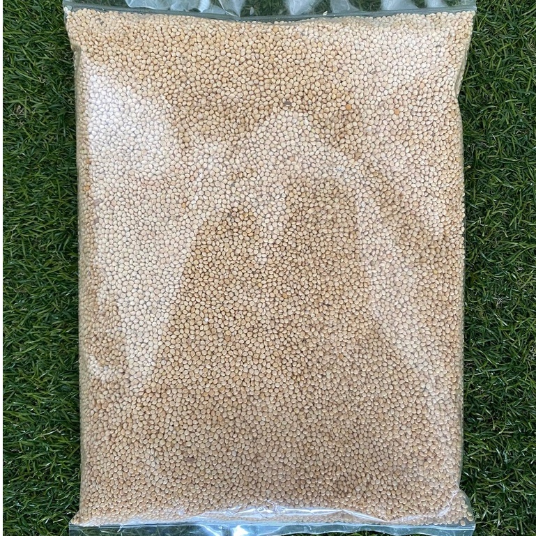 White Millet | Yellow Millet | Bird Food | Makanan Burung | Bird Seed ...