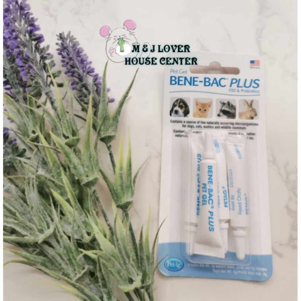 Ready Stock 】Import From U.S.A PetAg Bene-Bac Plus 15g 4g set Pet Gel ...