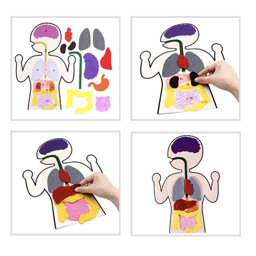 Kids Montessori 3D Puzzle Non Woven Human Body Model Learning Internal ...