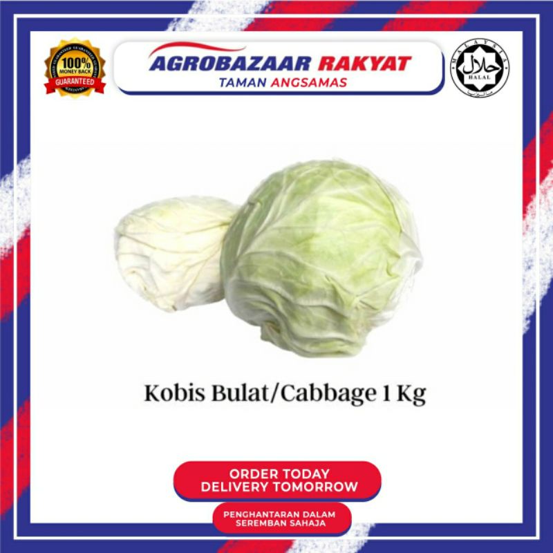Kobus Bulat/Cabbage 1kg | Shopee Malaysia