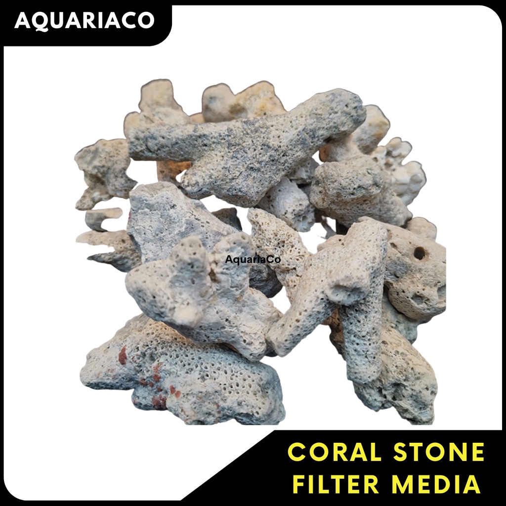 [AquariaCo] Aquarium Coral Stone (Filter Media, Batu Laut, Batu Karang ...