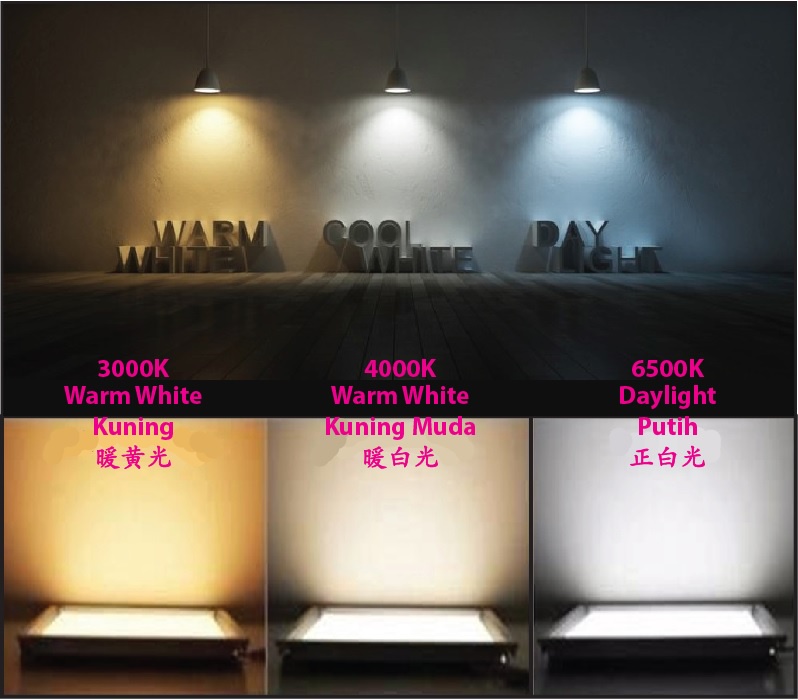 LED Sensor Surface DownLight | PIR Motion Sensor Ceiling Light | 20W ...