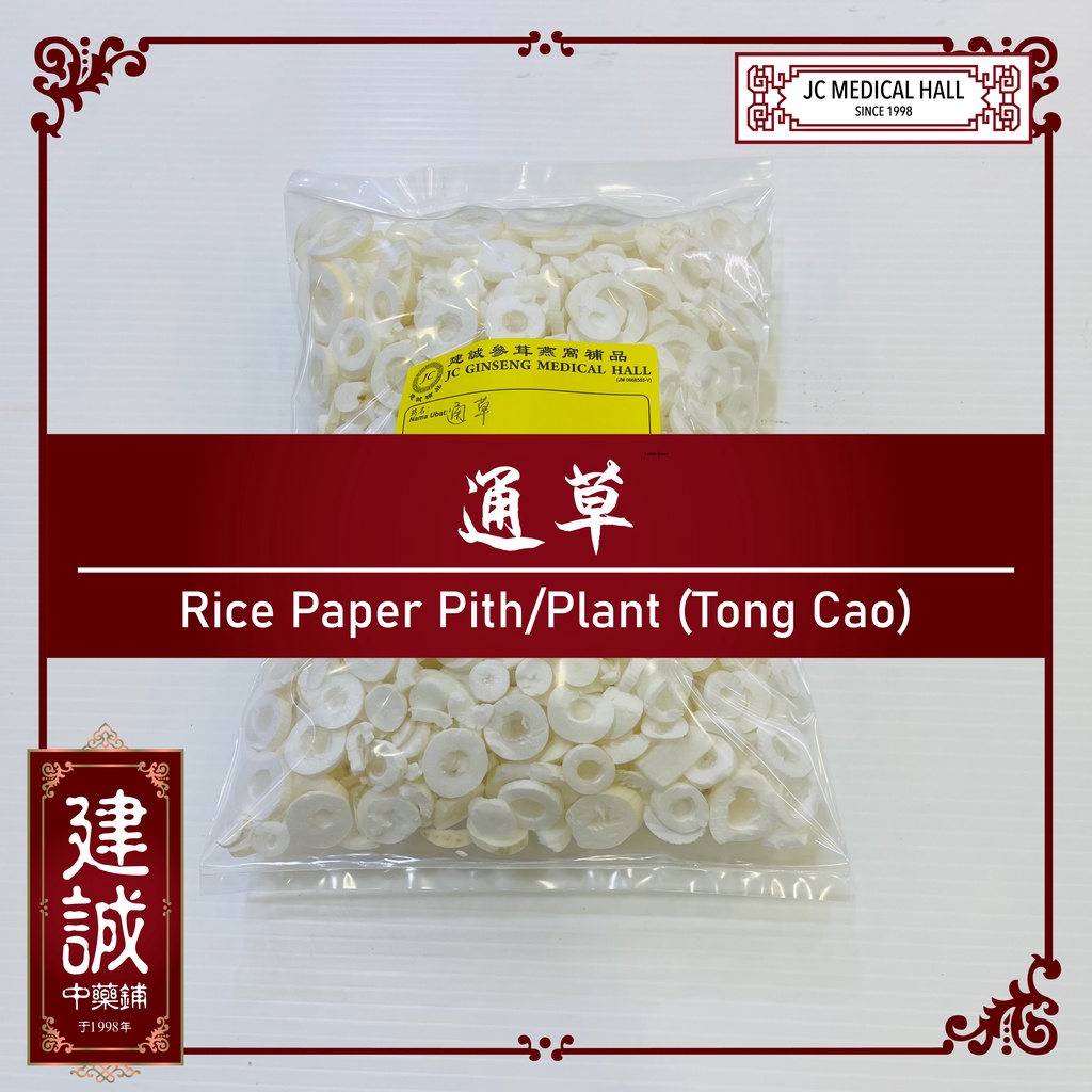 🌿 Rice Paper Pith/Plant (Tong Cao) 通草 | Shopee Malaysia