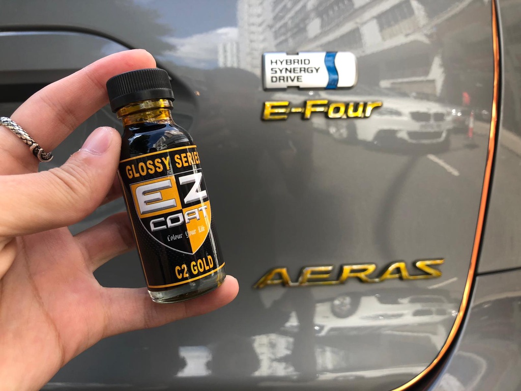 EZ Coat Chrome Colour Paint (EZ COAT 18 COLOURS) | Shopee Malaysia