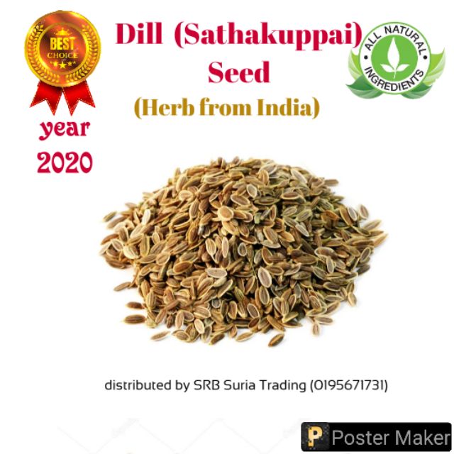 Dill Sathakuppai Seed -Gred premium AA 100g | Shopee Malaysia