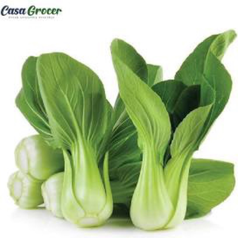 30pcs seeds Pak Choi sayur putih sedap masak dengan mee | Shopee Malaysia