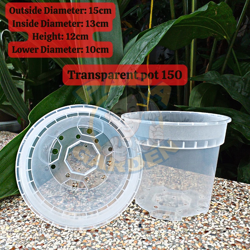 Flower Pot Transparent 150/170/220 Hydroponics Orchid Gardening Durable ...
