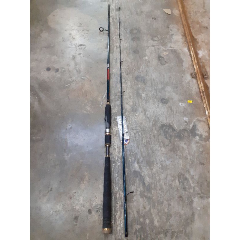 EXPERT GRAPHITE ALEXANDER FISHING ROD (B) | Shopee Malaysia