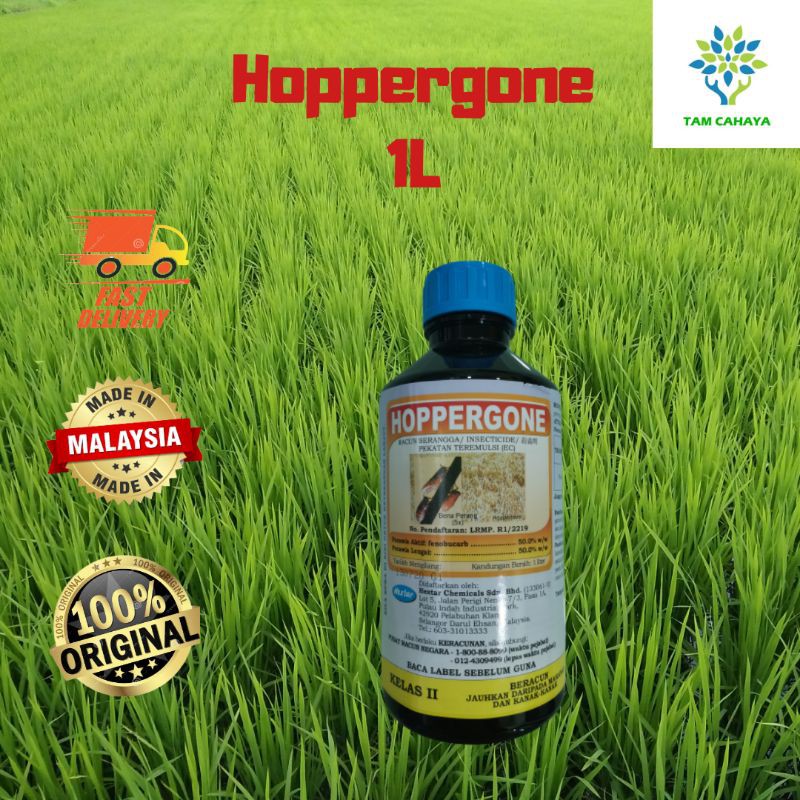 Hoppergone 1L Racun Serangga Bena Perang Padi | Shopee Malaysia
