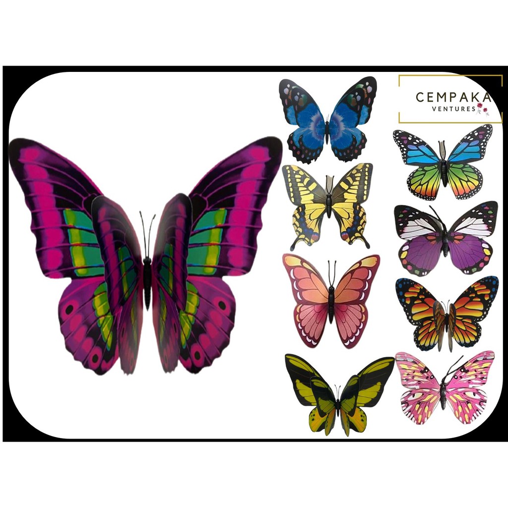 Rama-rama untuk hiasan dekor pelamin rama-rama besar rama-rama deko ...