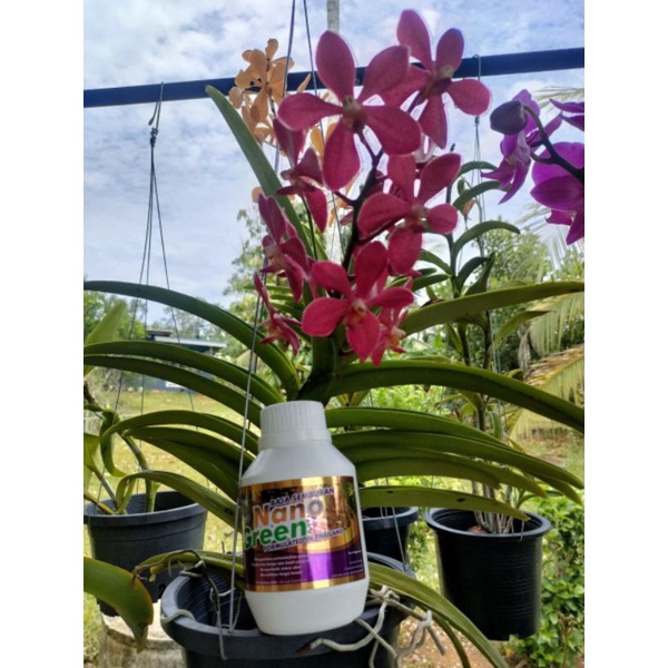 BAJA NANO GREEN 350ML & 1 LITER | Shopee Malaysia