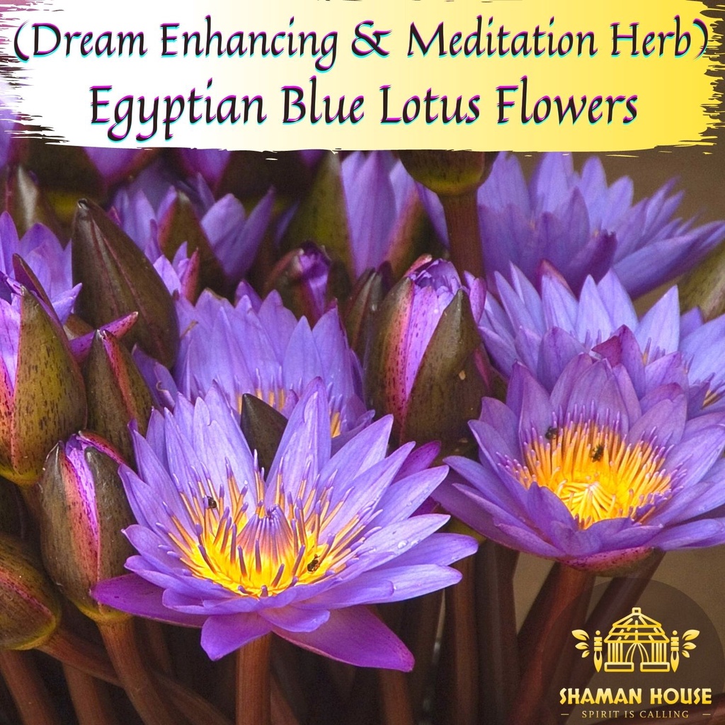 【👁 Natural Sleep Aid / Dream & Meditation Herb】(5g) Organic Egyptian ...