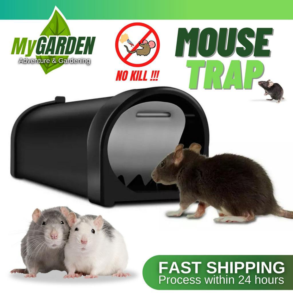 Mouse Trap Box Case Reusable Automatic Mouse Trap Case Rat Catcher Cage ...