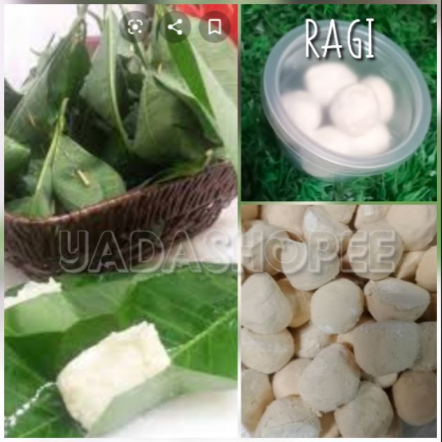 [READY STOCK] 🔥🔥RAGI (TAPAI PULUT) | Shopee Malaysia