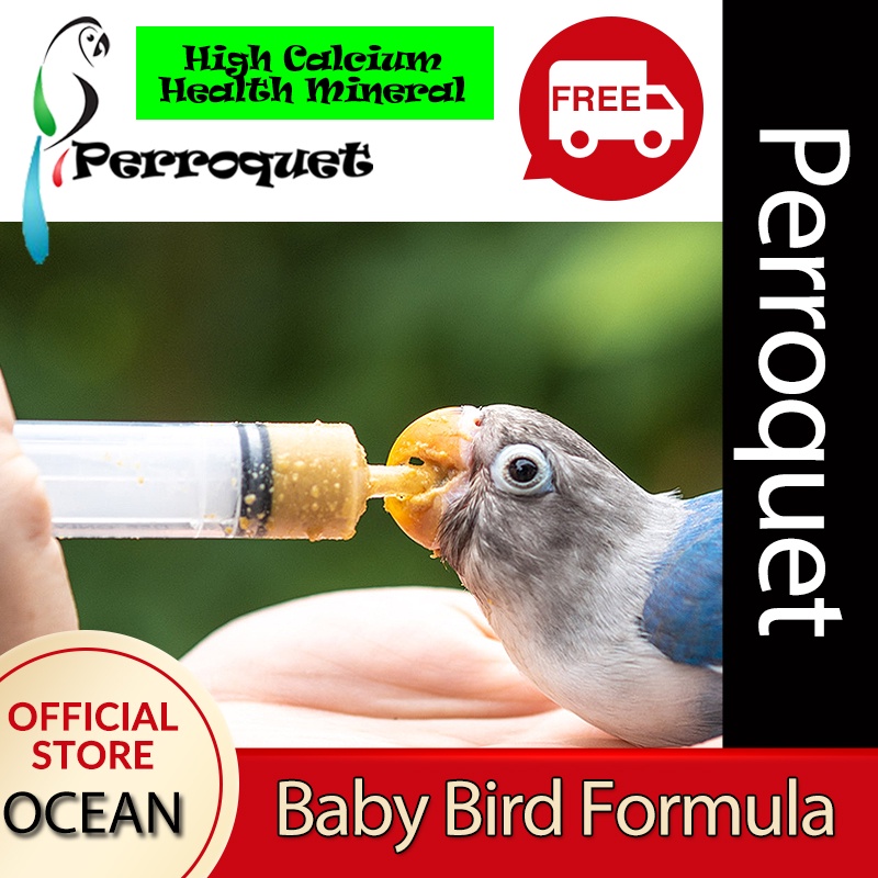 Perroquet Jonsanty Parrot Baby Bird Hand Feeding Formula Growth ...